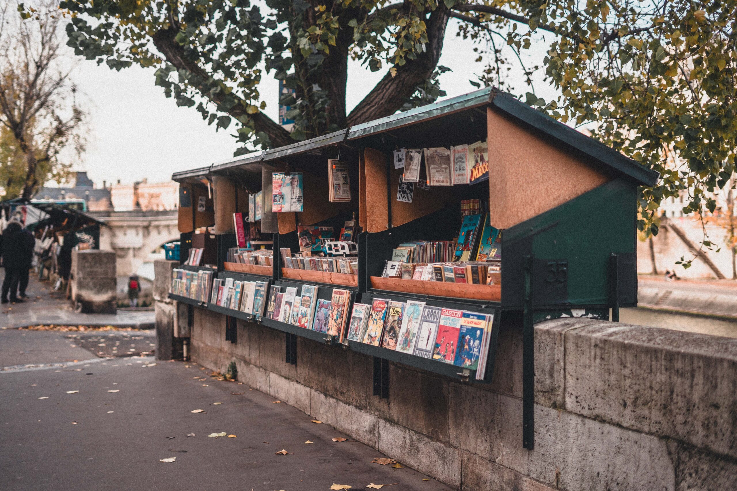 Paris Bouquinistes along the Seine & A River Between two Bookshelves!