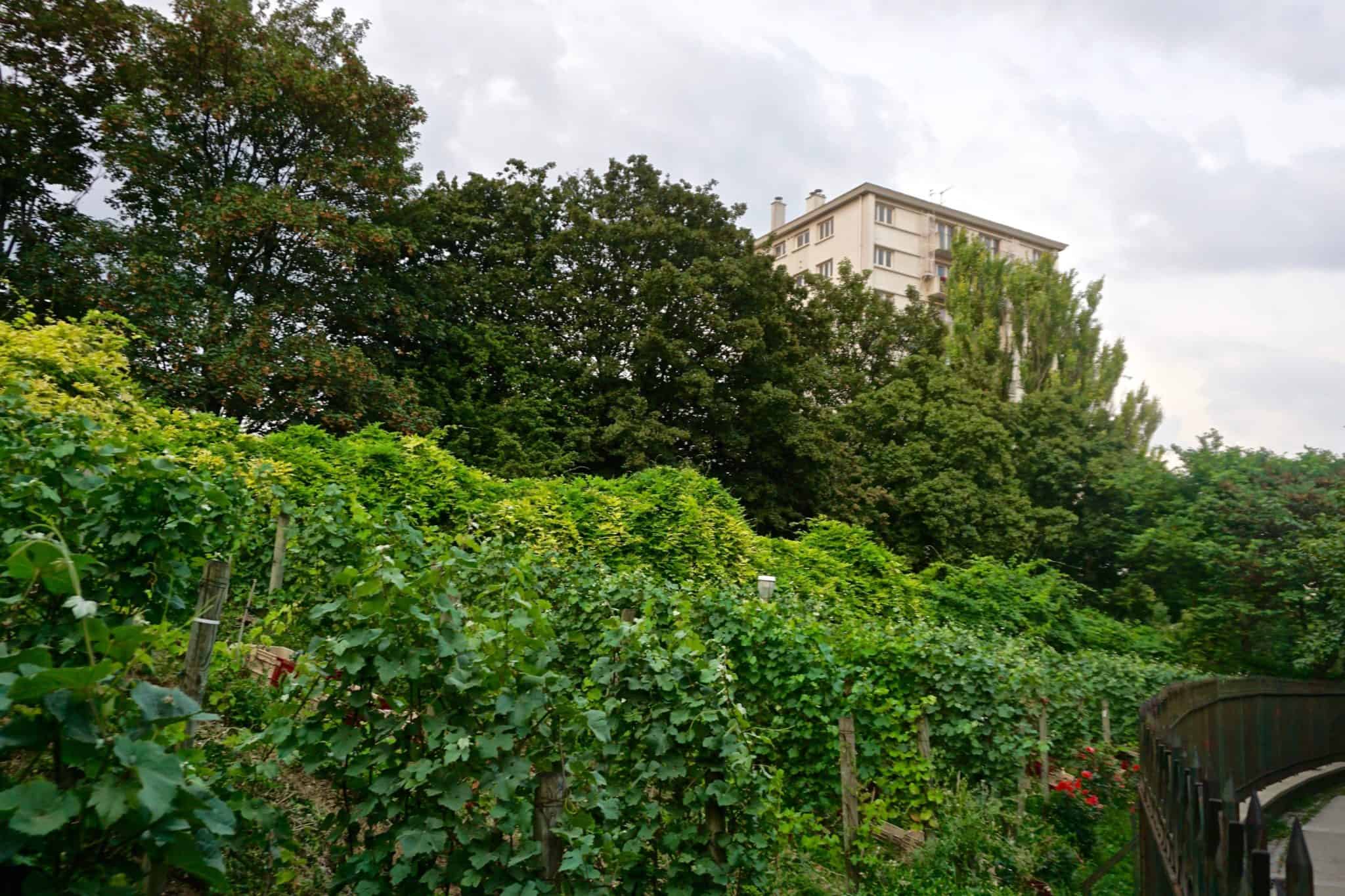 10 Best Green Spaces, Gardens & Parks in Paris Worth a Visit | solosophie
