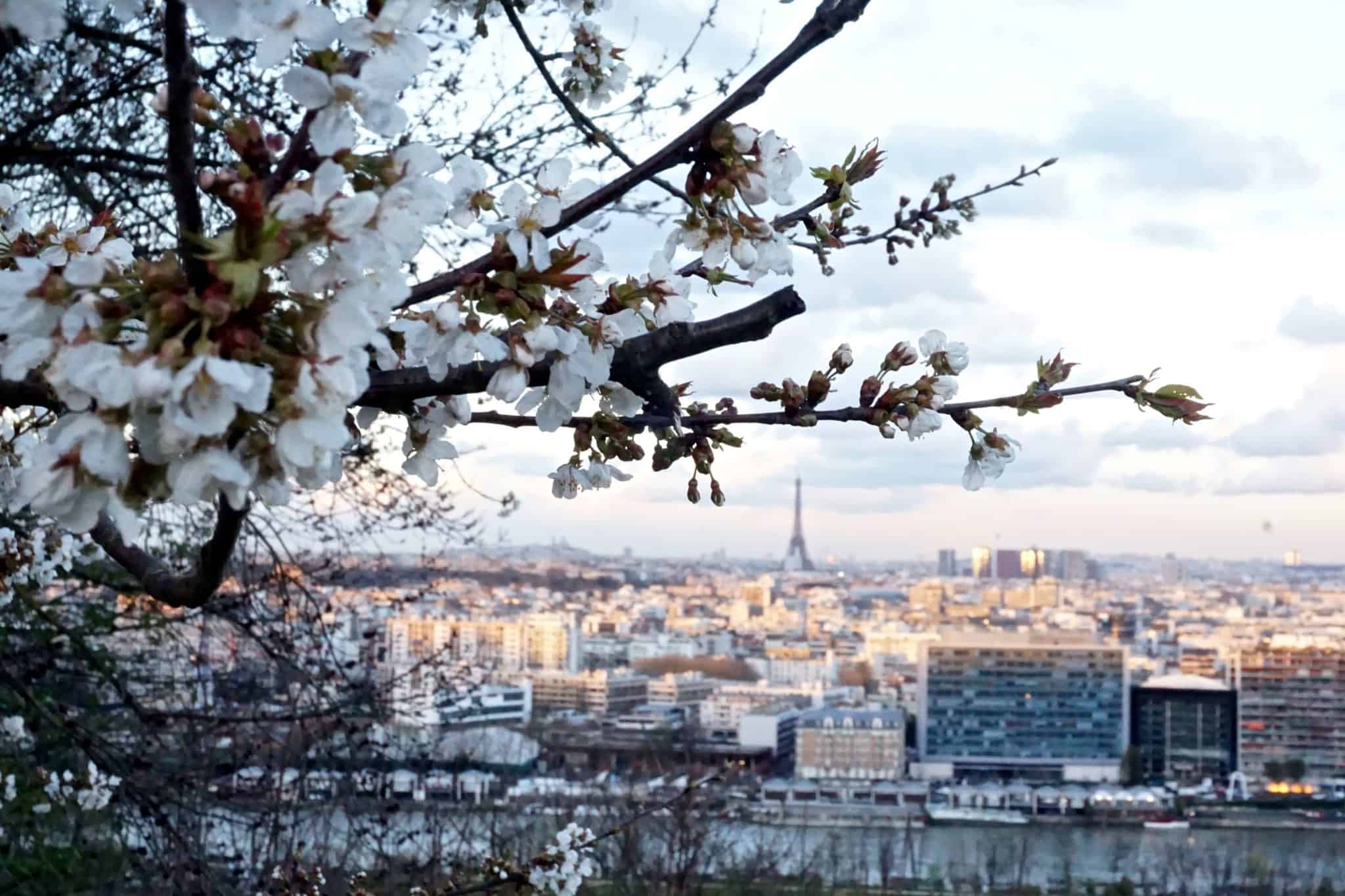 When is the best time to travel to Europe? High, Low & Shoulder Seasons