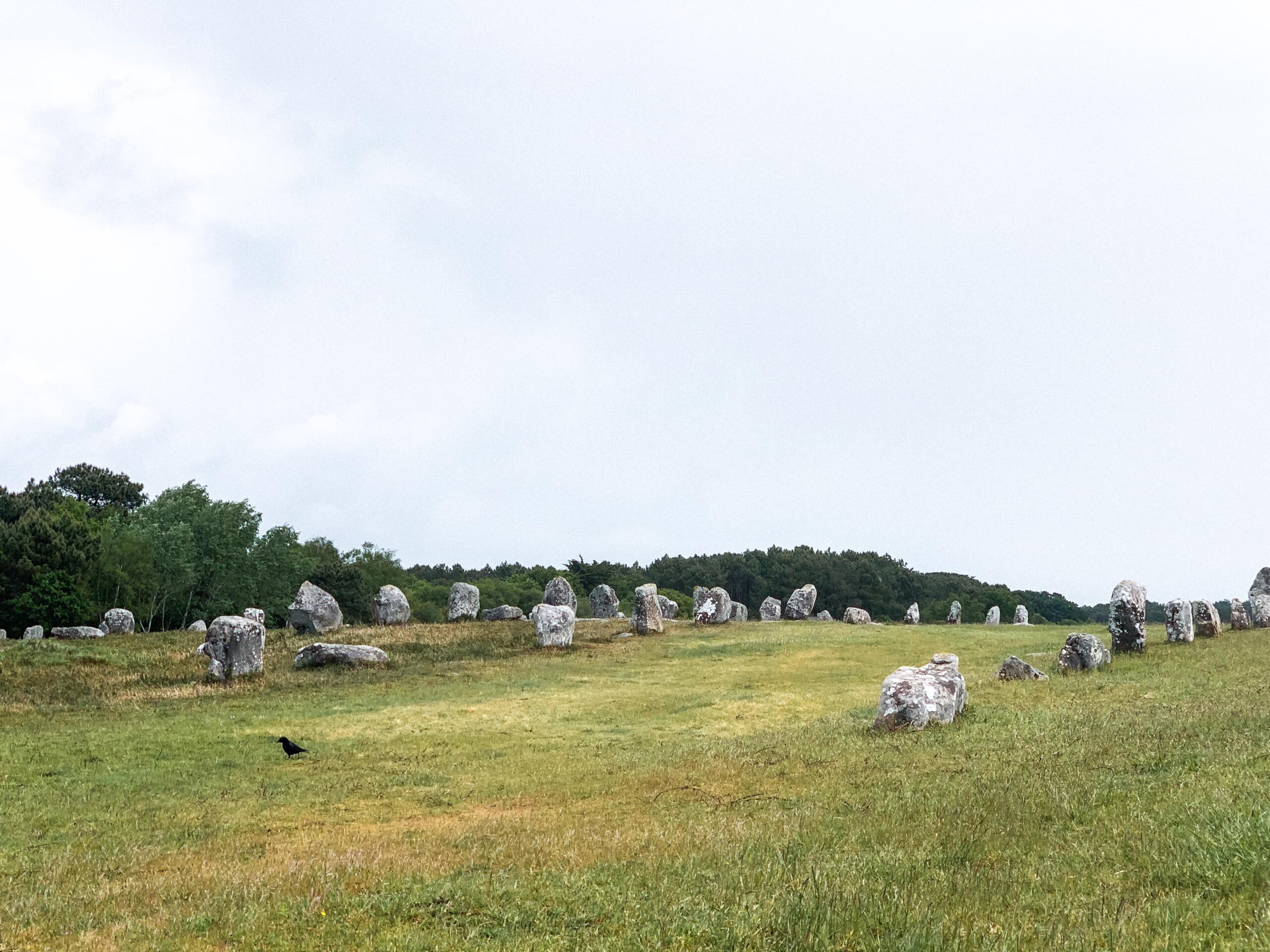 Carnac Stones: A Neolithic Site in Windswept Brittany | solosophie