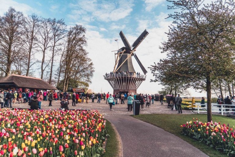A Guide to the Best Things to do in Hillegom | solosophie