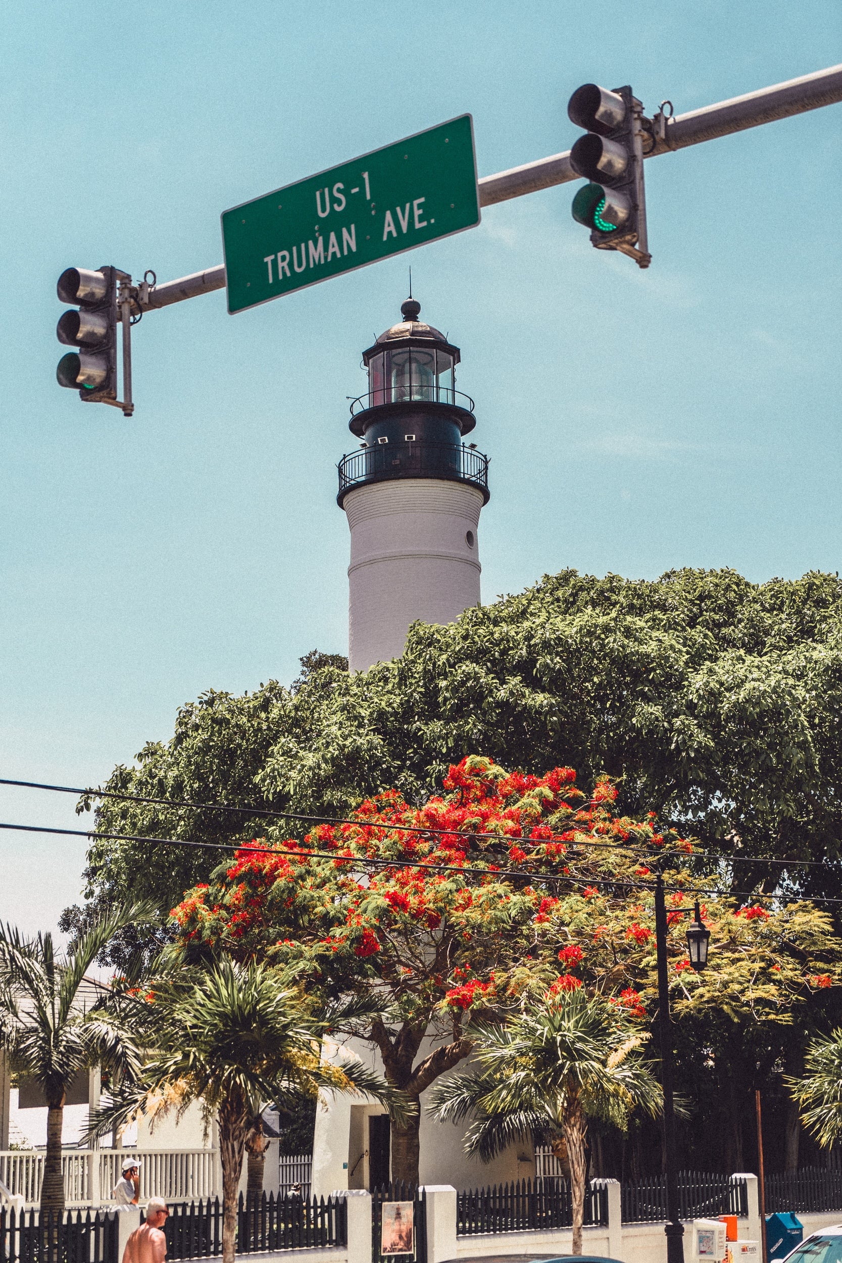The Curious Case of the Hemingway Cats in Key West | solosophie