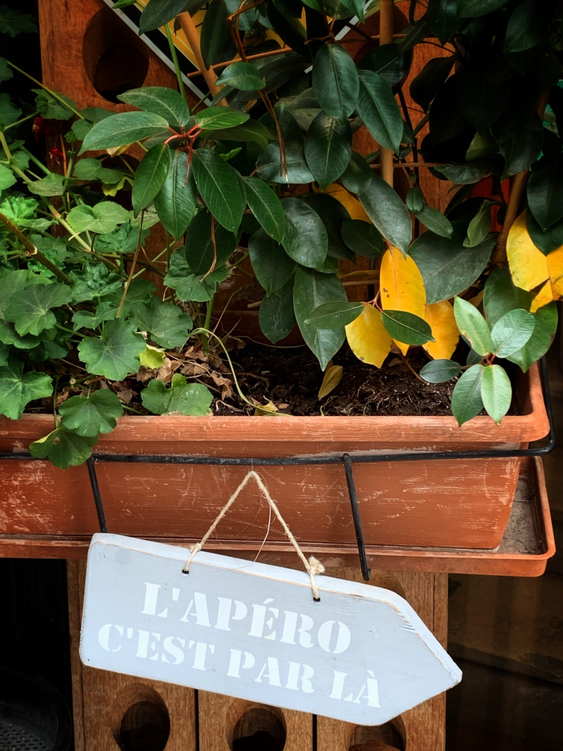 Perfecting the Art of the French Apéro (A How to Guide) | solosophie