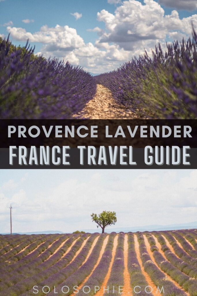 Your Guide to the Best of Lavender Fields in Provence | solosophie