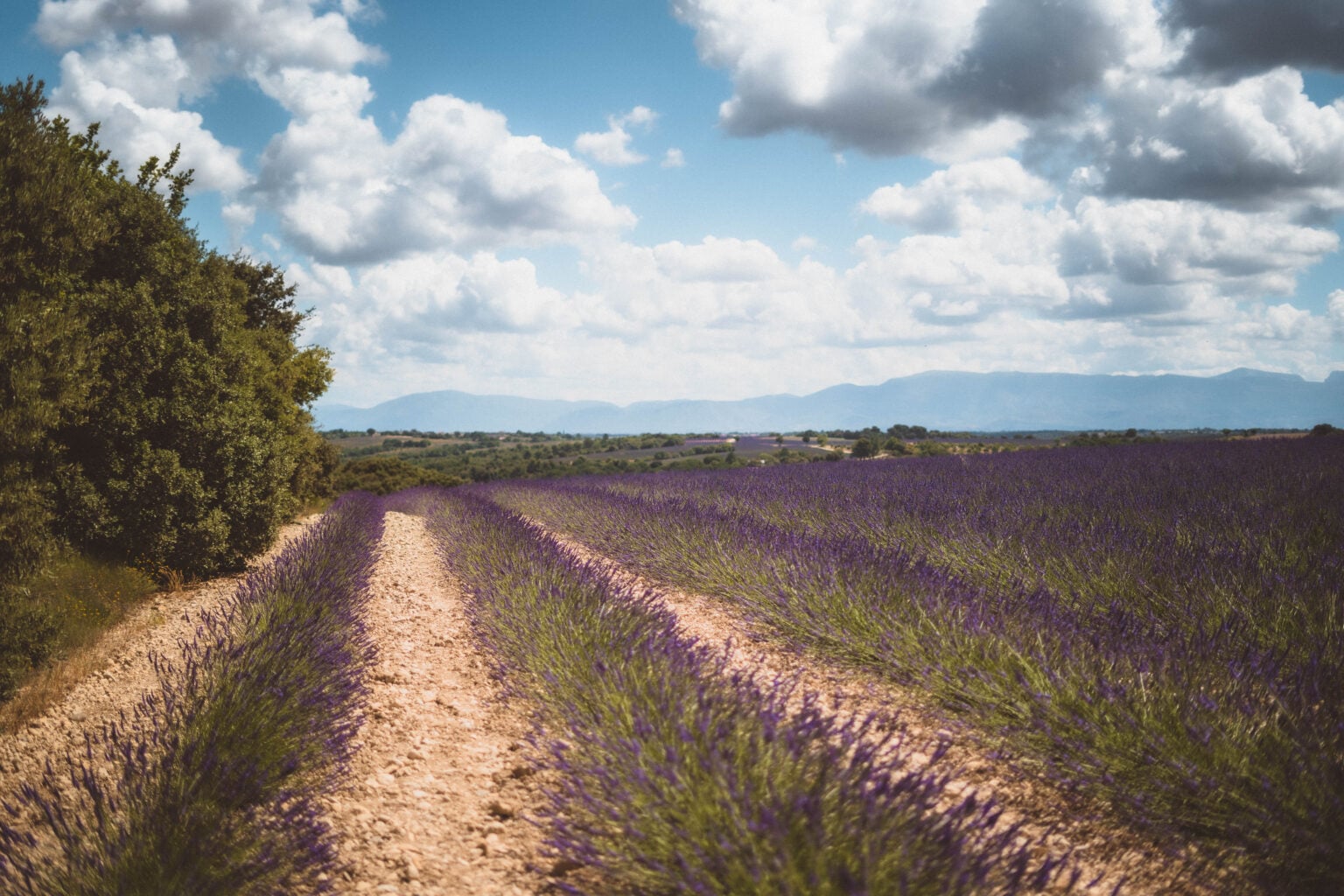 10+ Best Places to Visit in France in the Summer | solosophie