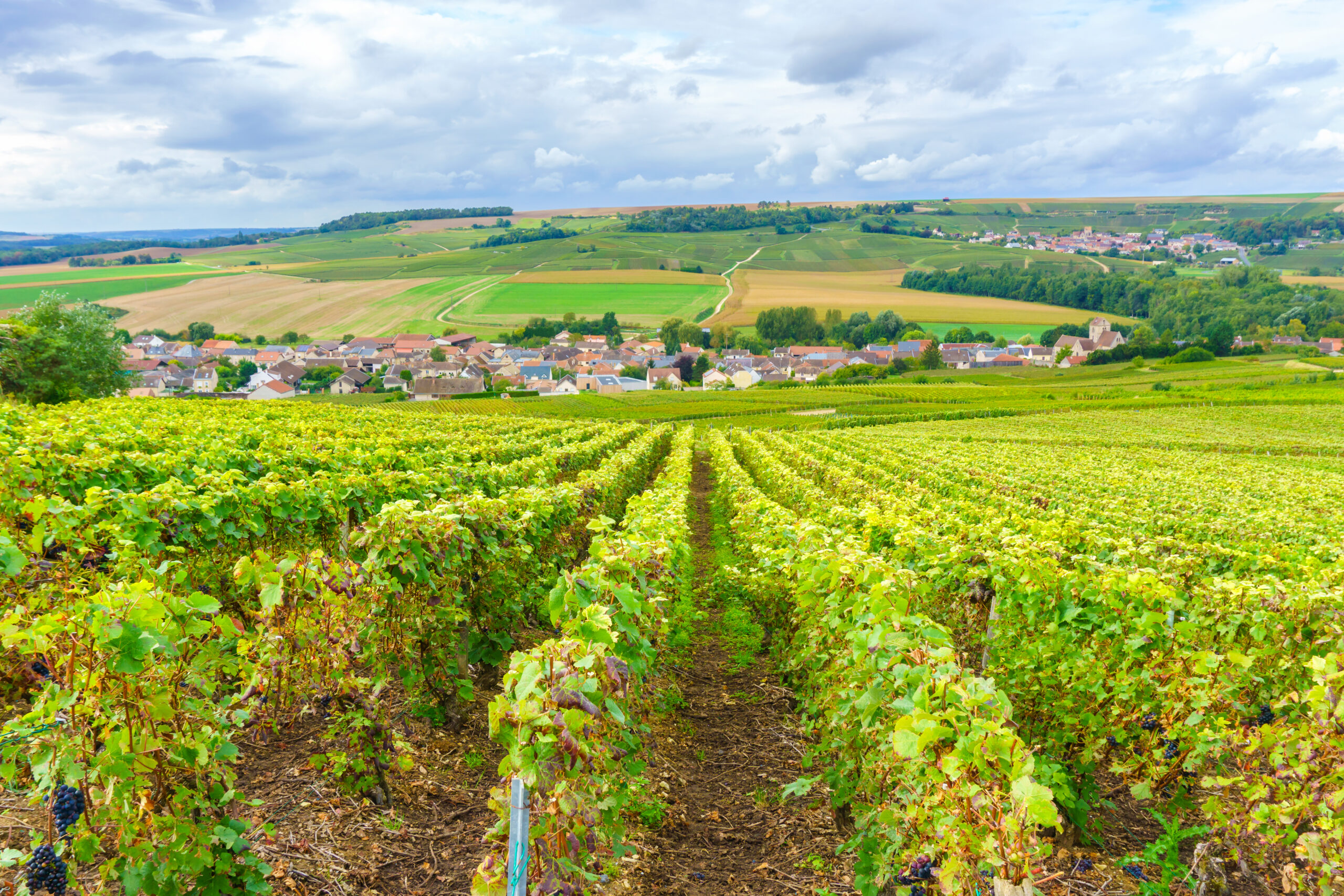 A Guide to The Best Things to do in Reims, Champagne | solosophie