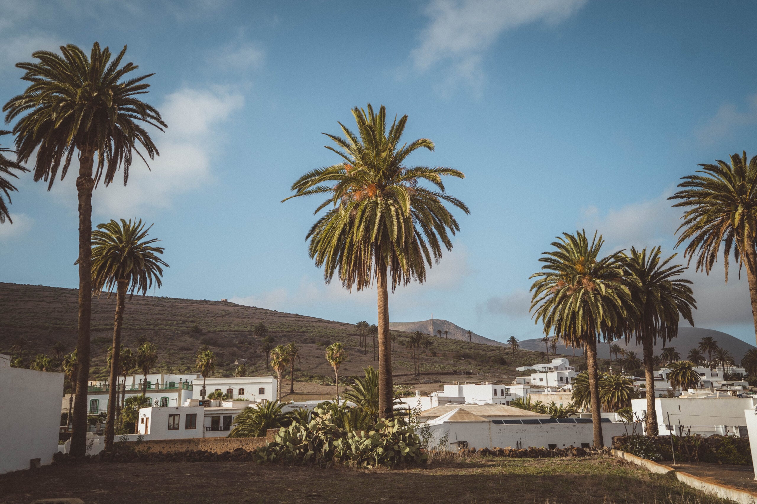 A Guide to the Best of Haría, Lanzarote | solosophie