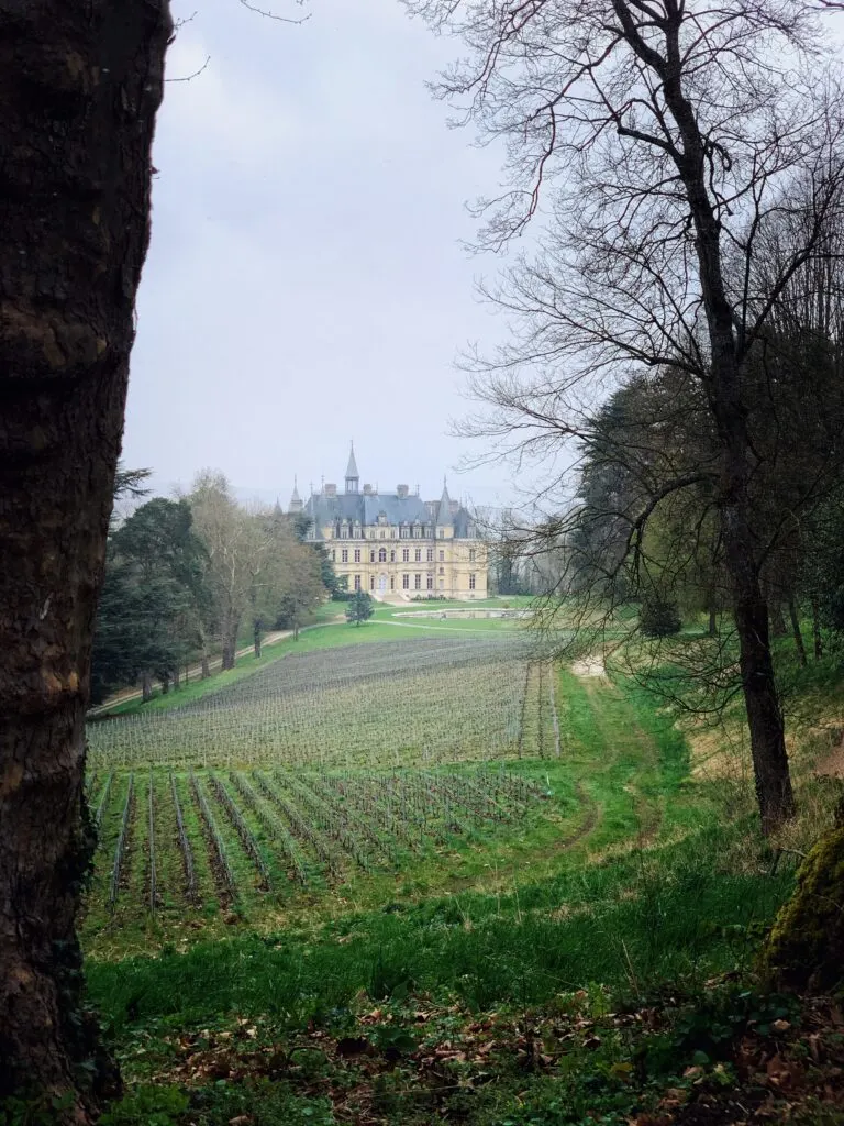 Château de Boursault (Champagne Château de Boursault) | solosophie