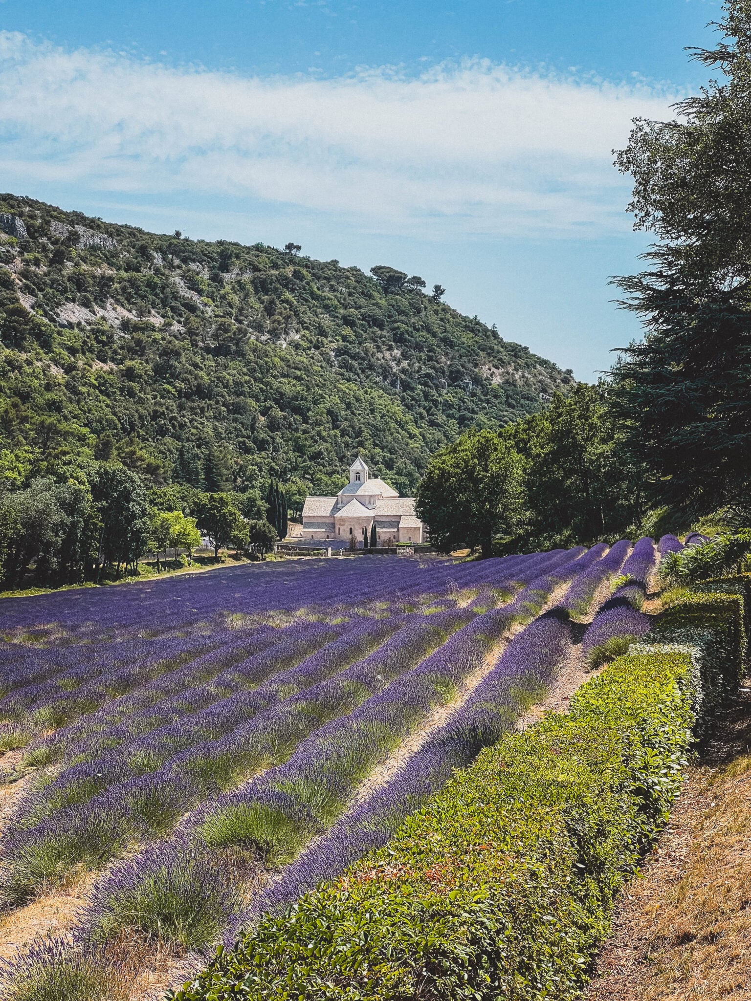 How to Visit the Abbaye Notre-Dame de Sénanque, Provence