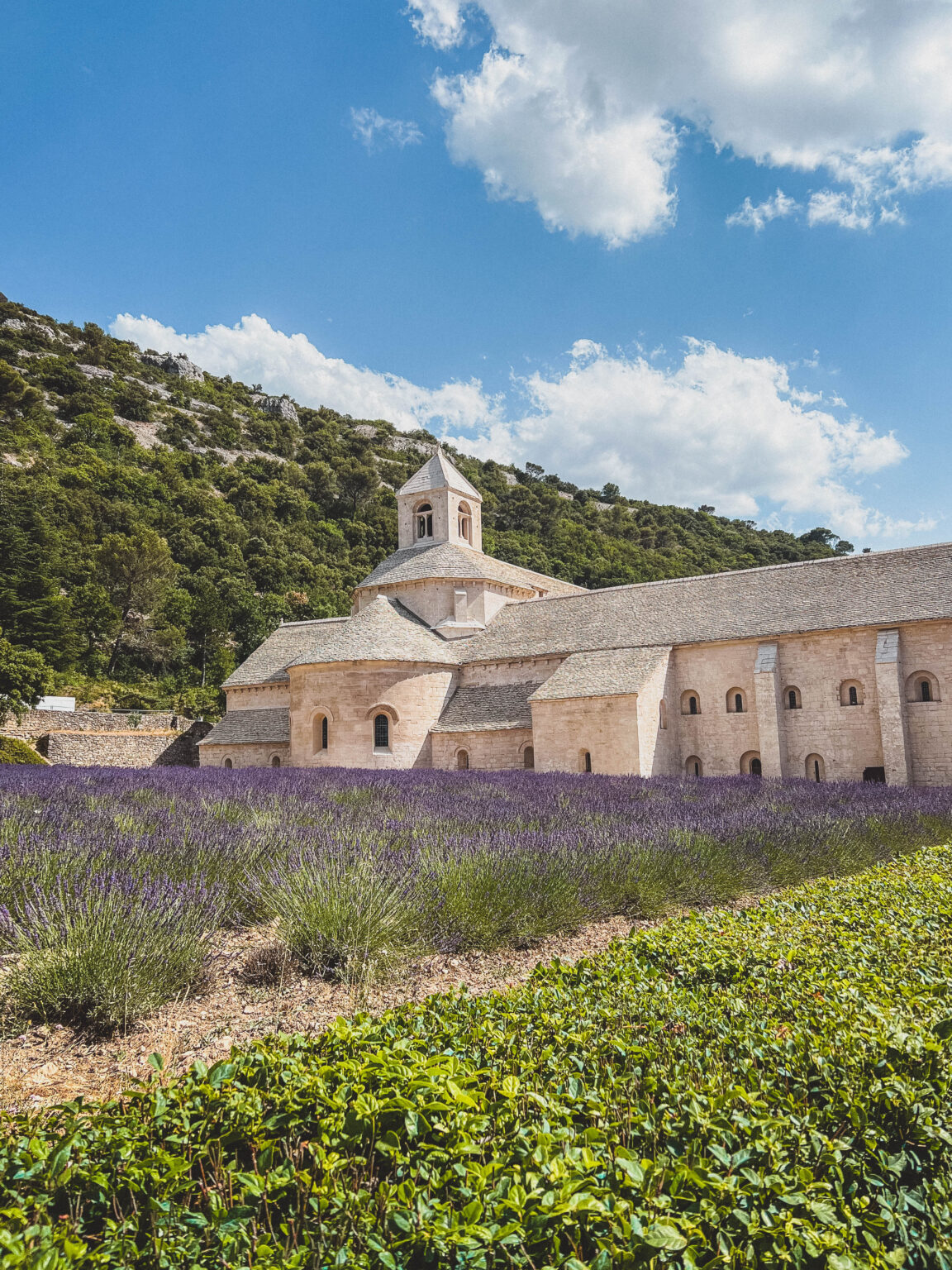 How to Visit the Abbaye Notre-Dame de Sénanque, Provence