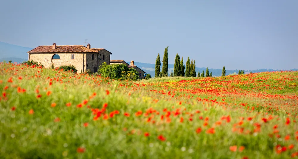The Ultimate One Week in Tuscany Itinerary You'll Want to Steal