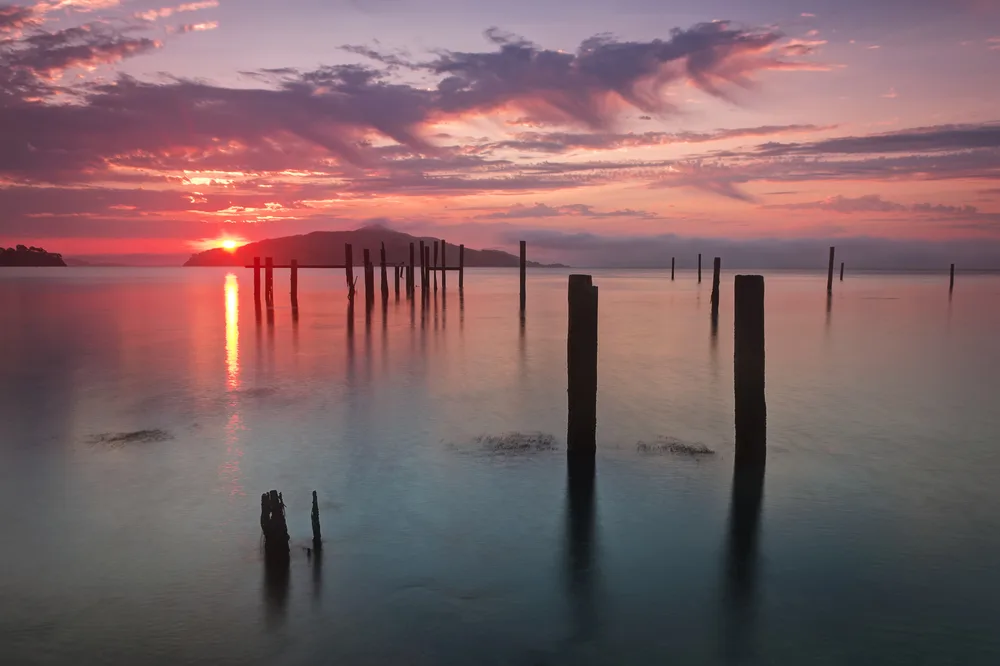 A Guide to the Best Things to do in Sausalito | solosophie