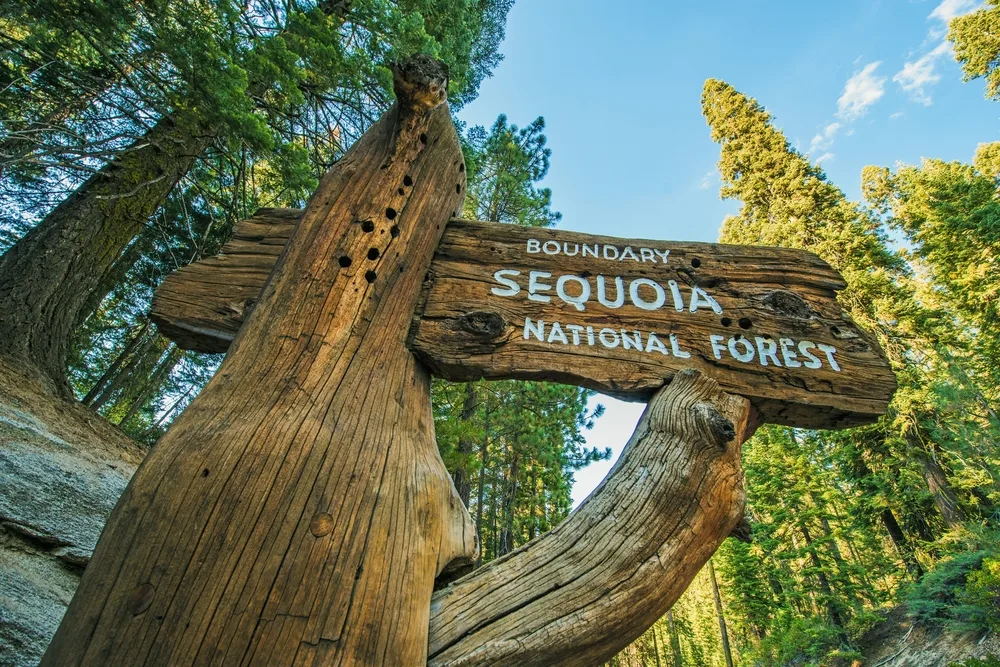 The Perfect 2 Days in Sequoia and Kings Canyon Itinerary