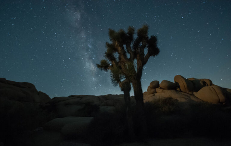 How to Spend the Perfect 3 Day Weekend in Joshua Tree Itinerary