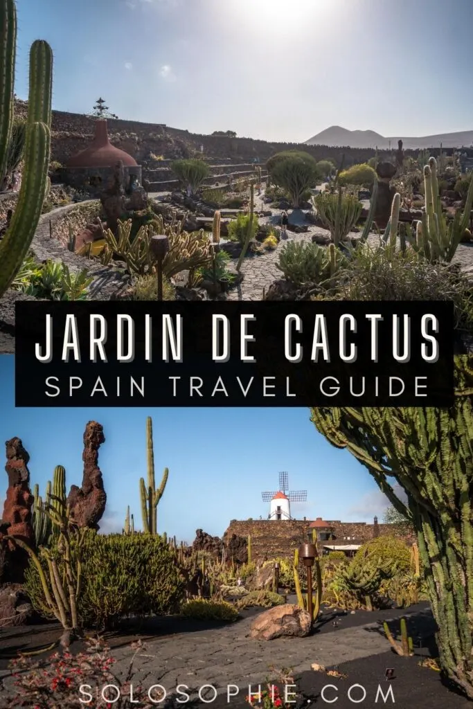 How to Visit Jardín de Cactus in Lanzarote | solosophie