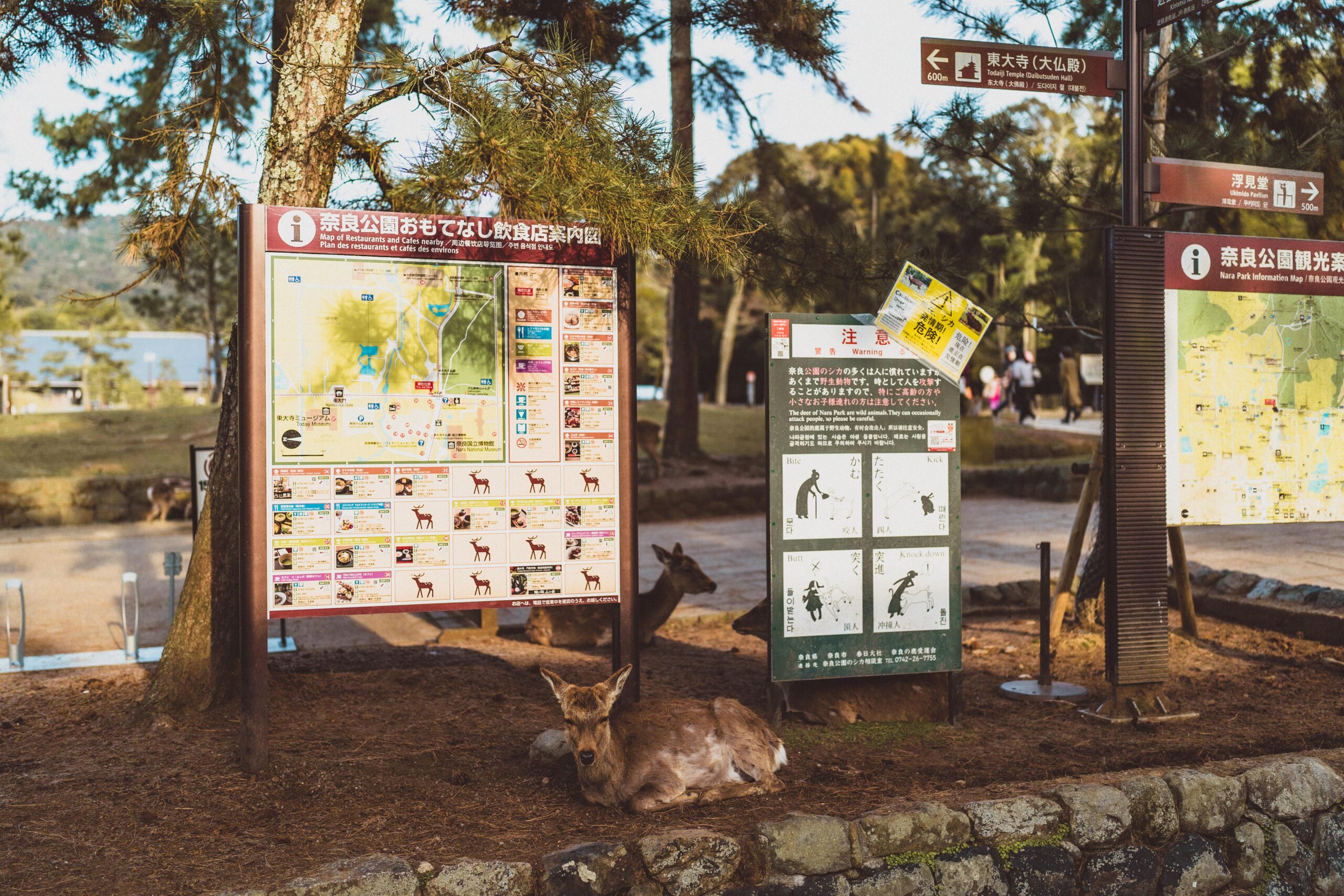 Nara Travel Guide: Best Things to do in the Deer City of Japan