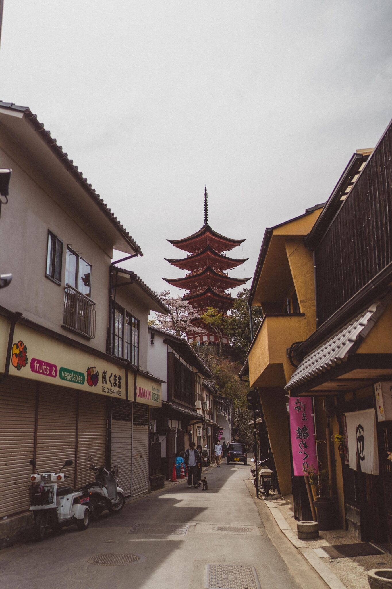 A Guide to the Best Things to Do on Miyajima Island (Itsukushima)