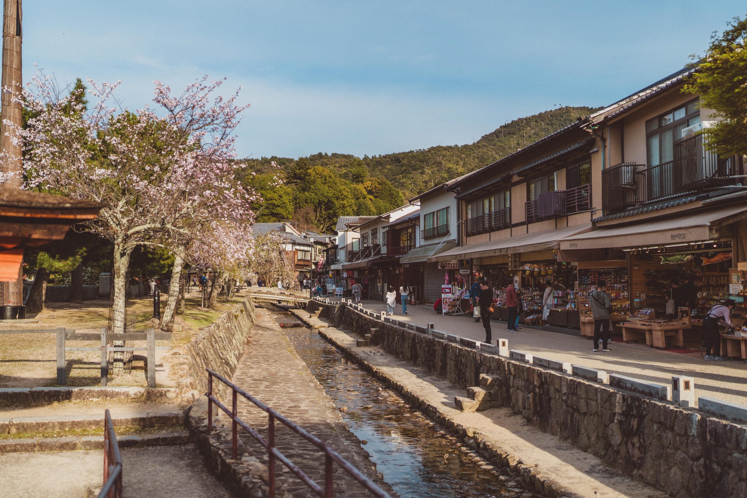 A Guide to the Best Things to Do on Miyajima Island (Itsukushima)
