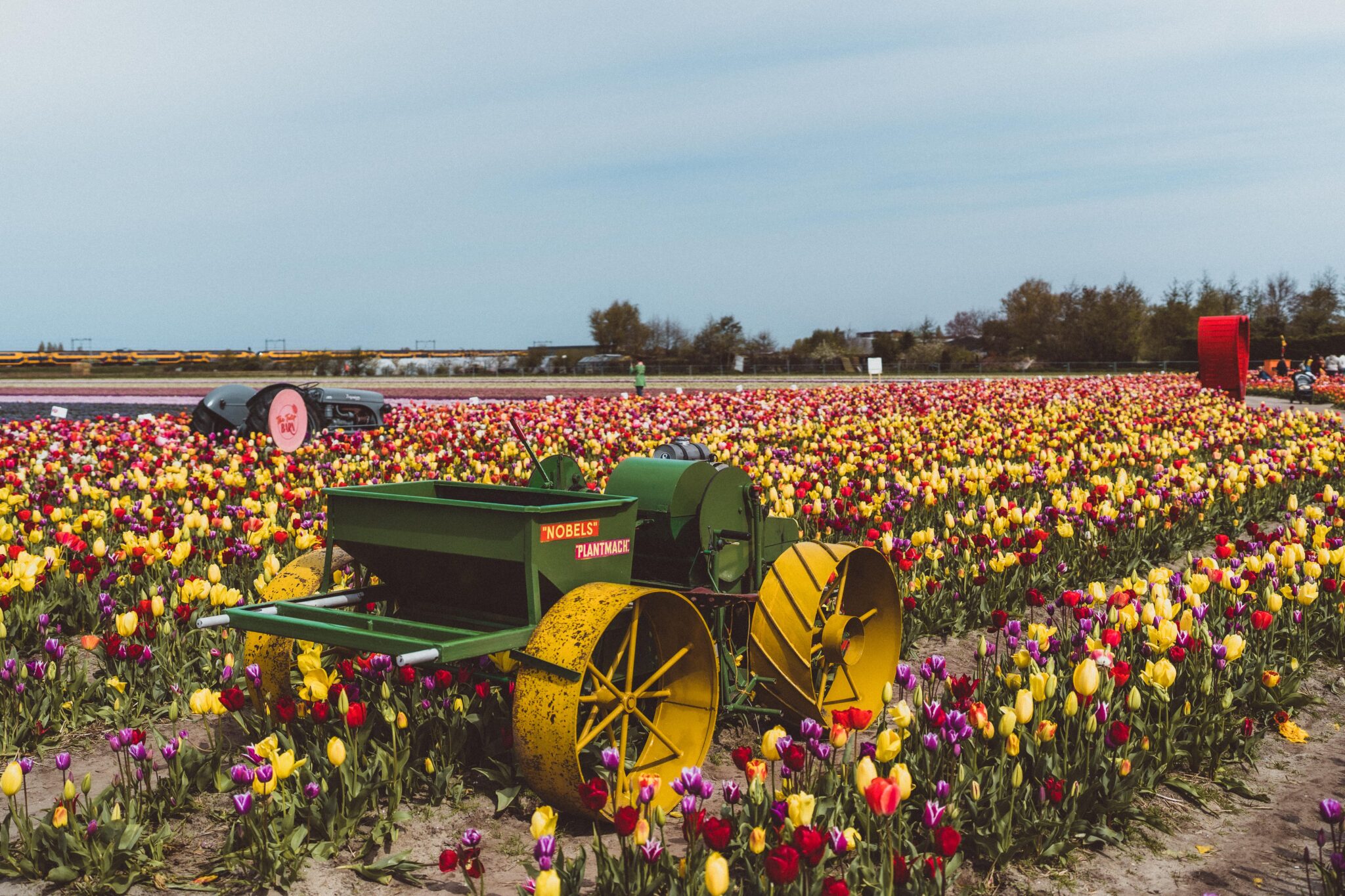 How to Visit The Tulip Barn: a Treasure Trove of Tulips | solosophie