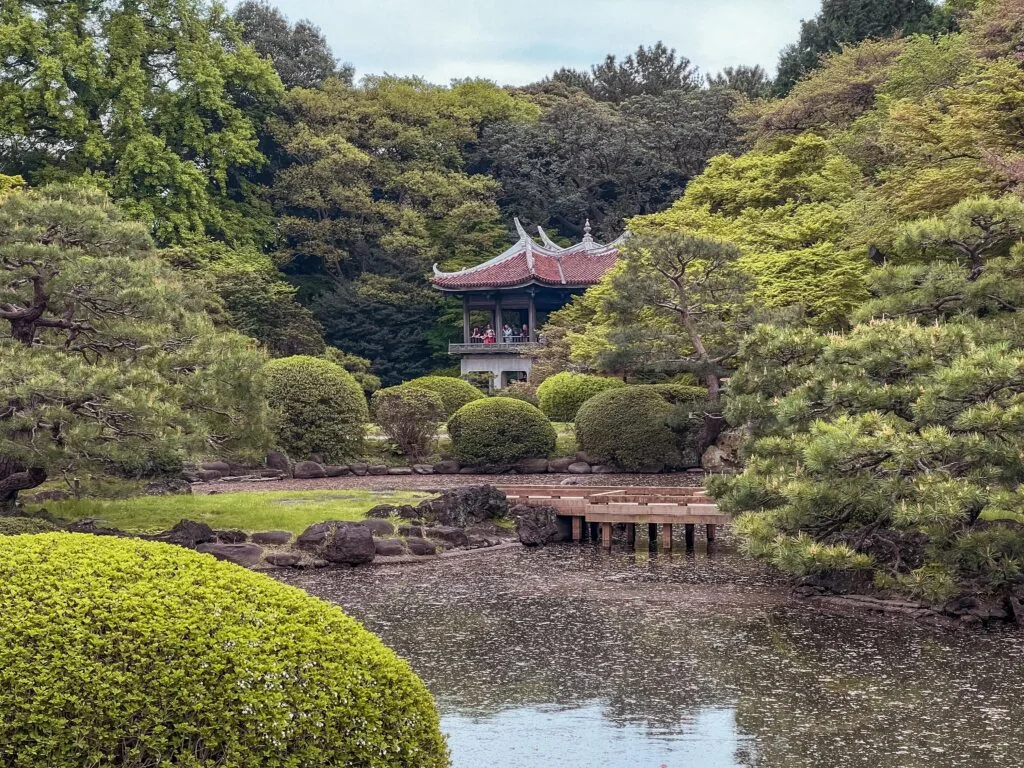 How to Visit Shinjuku Gyoen National Garden | solosophie
