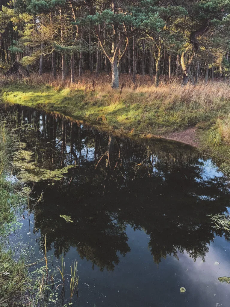 Best Things to do in Dunbar, Scotland | solosophie