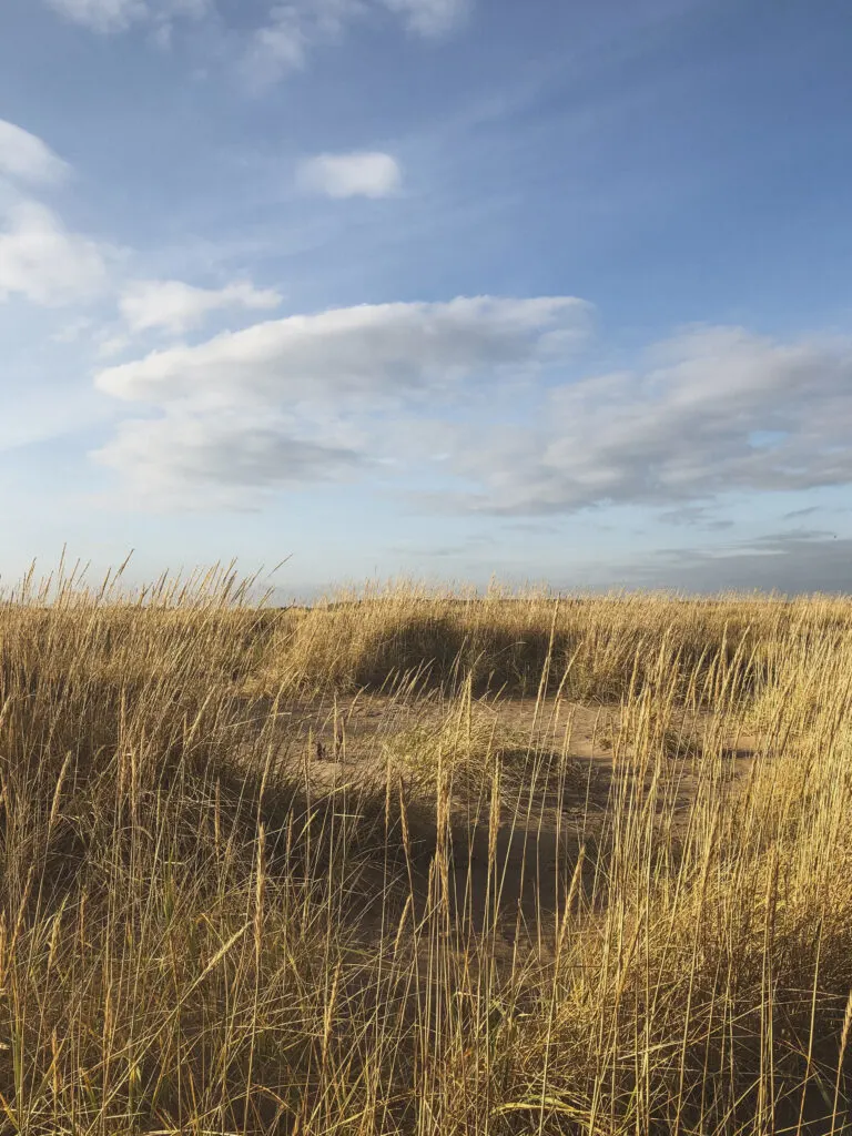 Best Things to do in Dunbar, Scotland | solosophie
