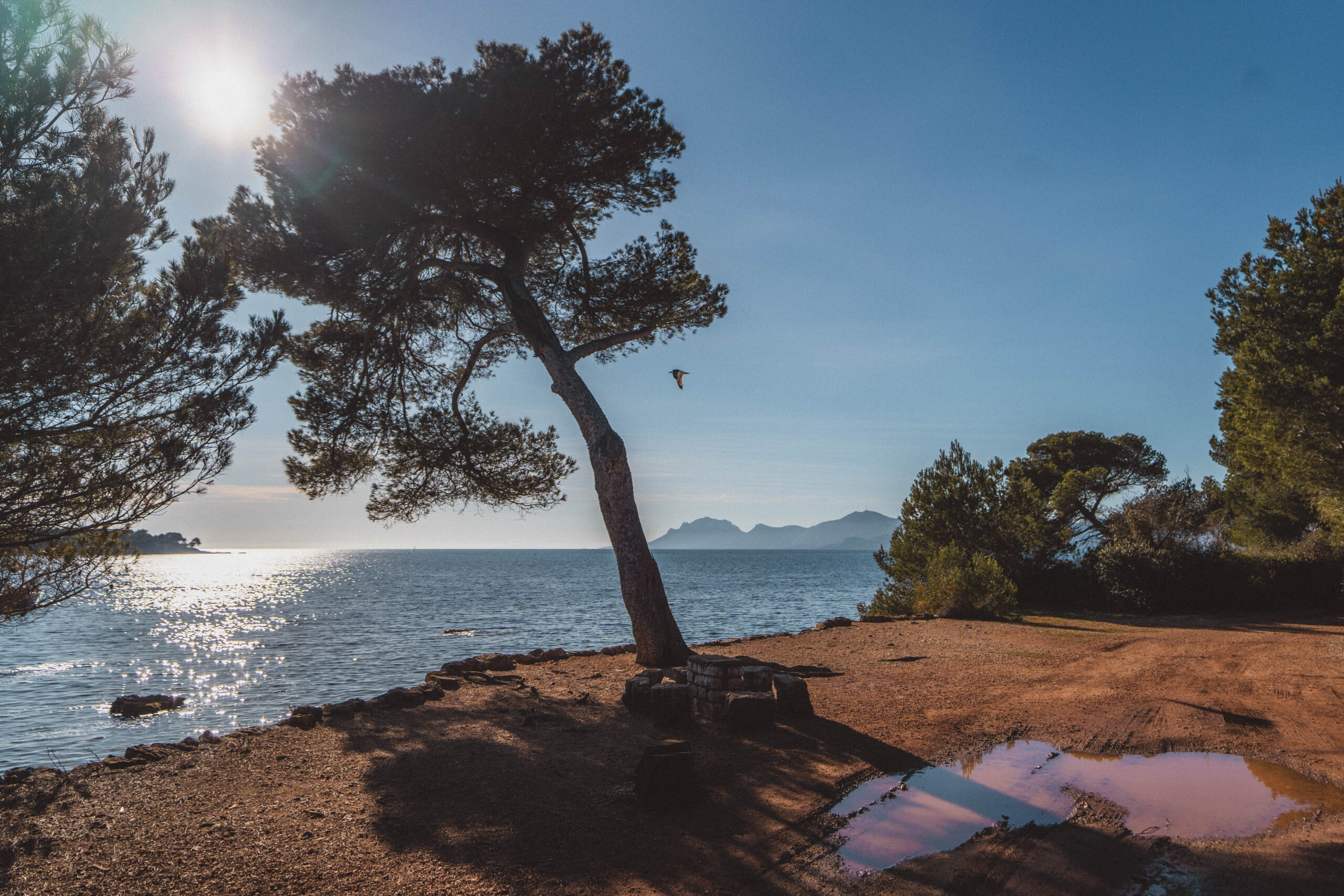 How to Spend the Perfect One Day in Cannes Itinerary | solosophie