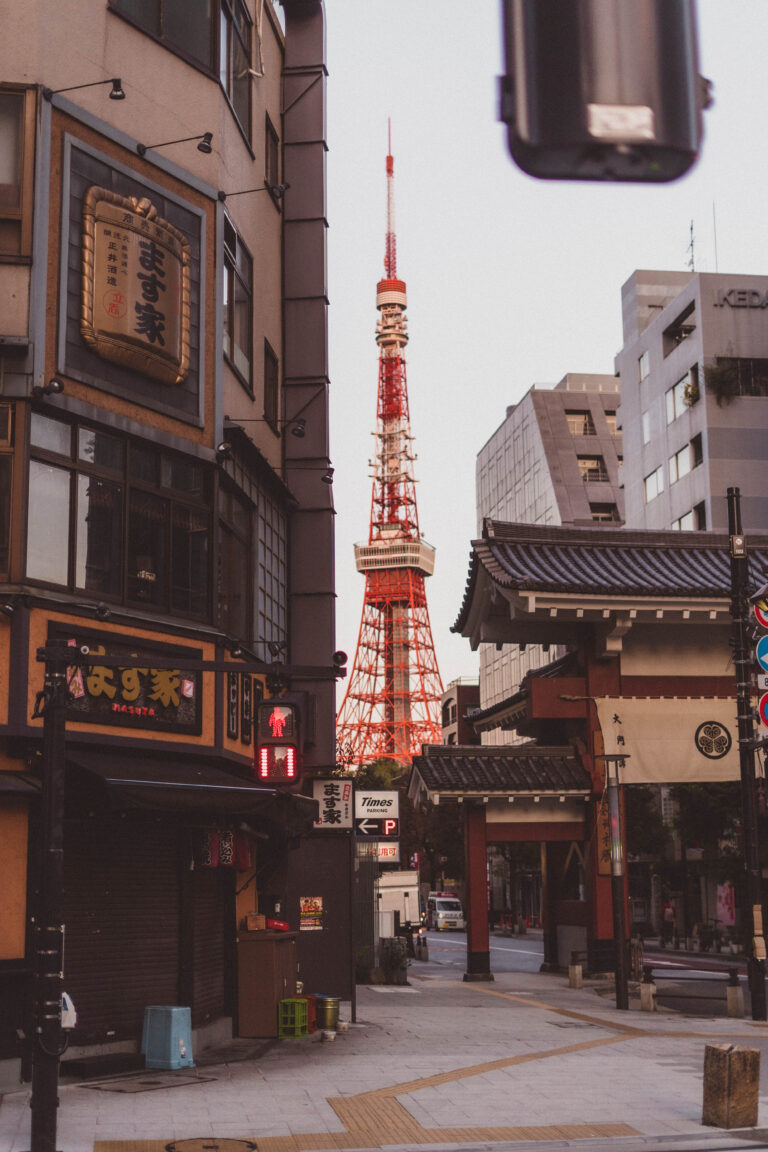 10+ Best Things to do Near the Tokyo Tower | solosophie
