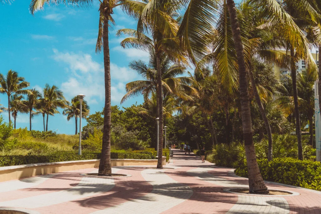 3 Days in Miami: Your Perfect Long Weekend Itinerary | solosophie