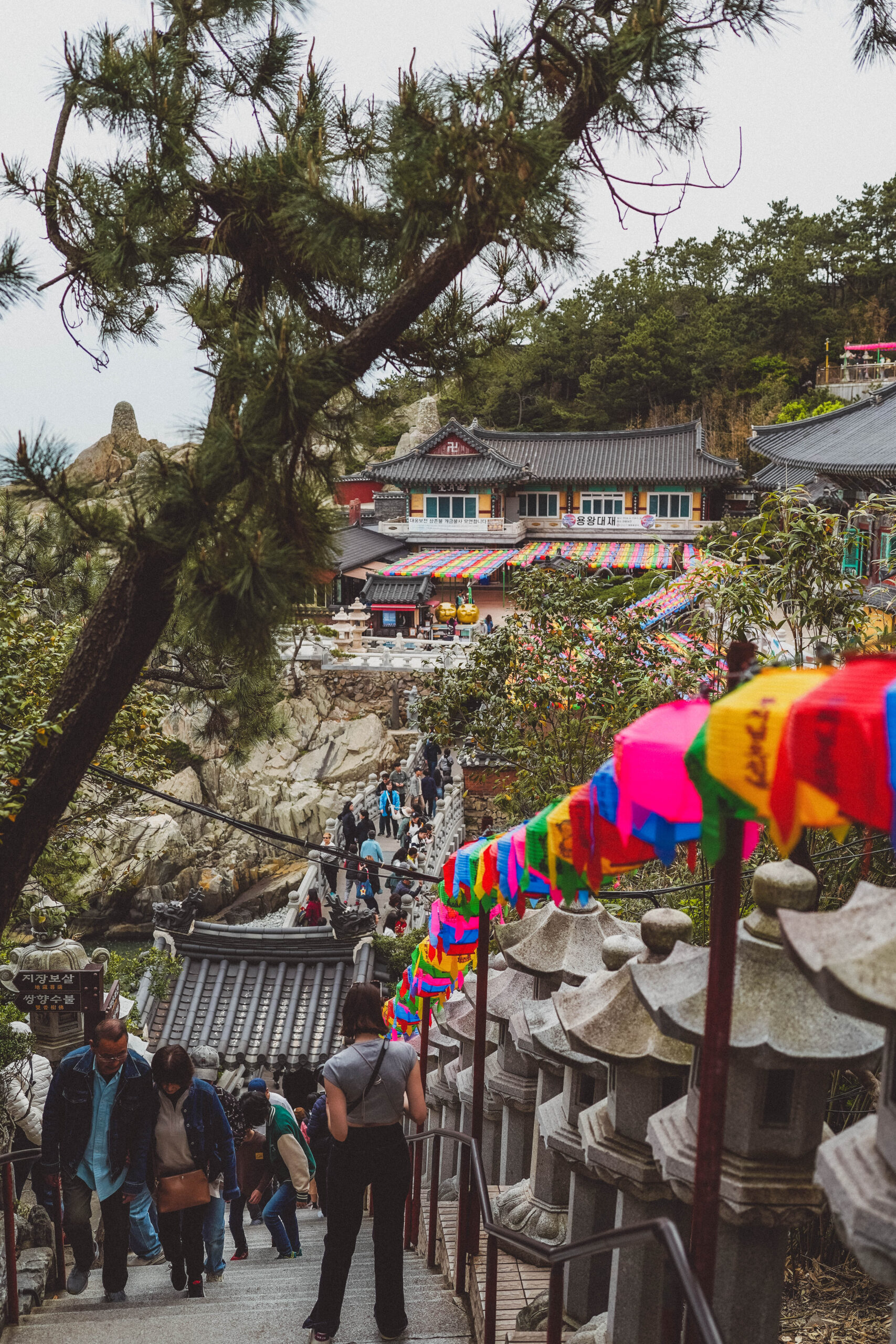 How to Visit Haedong Yonggungsa, Busan | solosophie