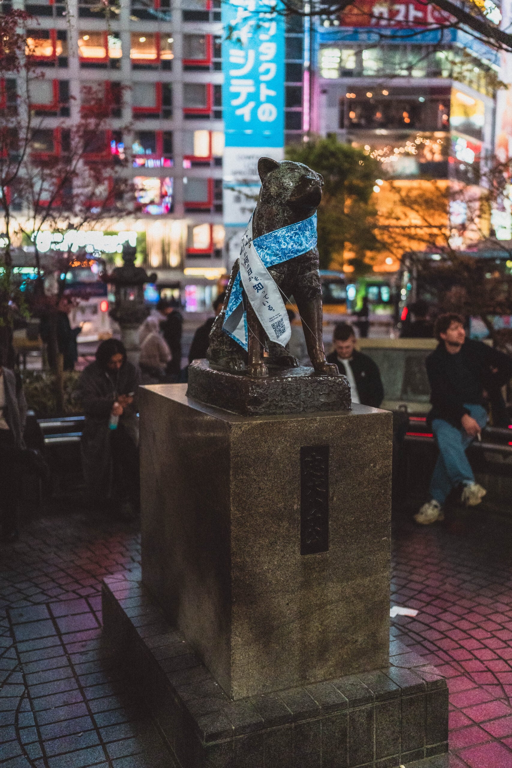 How to Visit Shibuya Scramble Crossing | solosophie