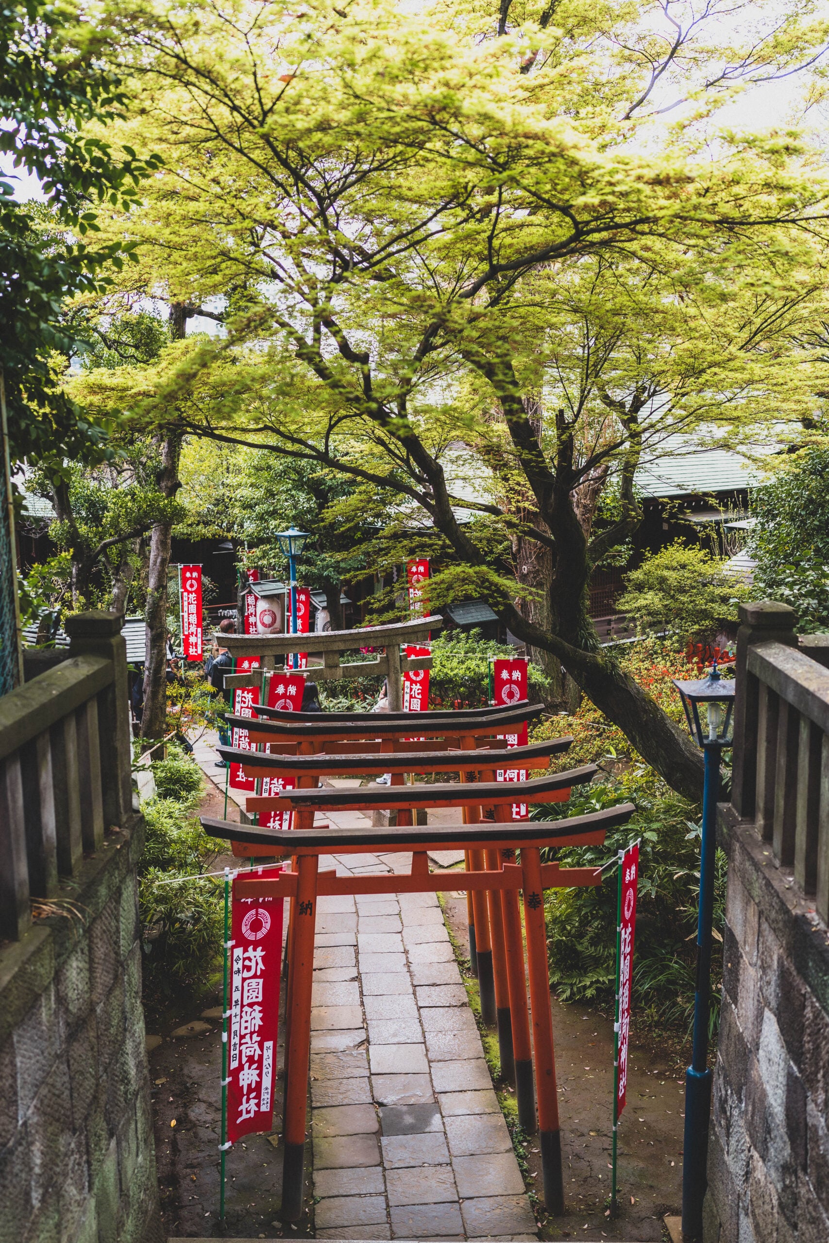 Meiji Jingu Tokyo: A Visit to the Largest Shrine in Tokyo | solosophie