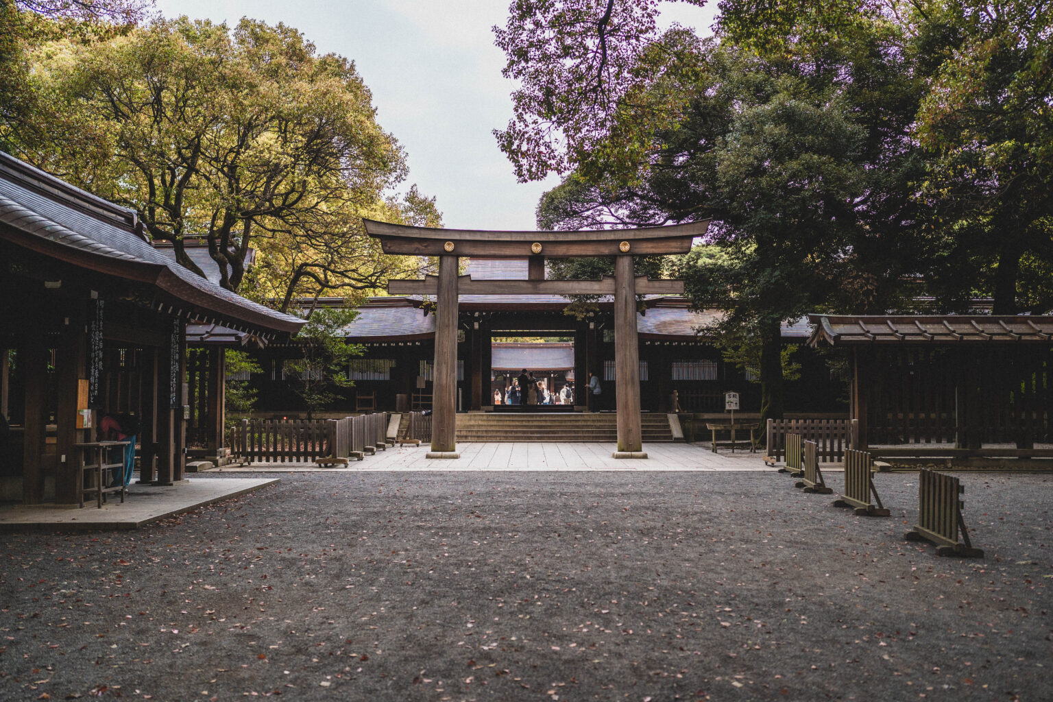 Meiji Jingu Tokyo: A Visit to the Largest Shrine in Tokyo | solosophie
