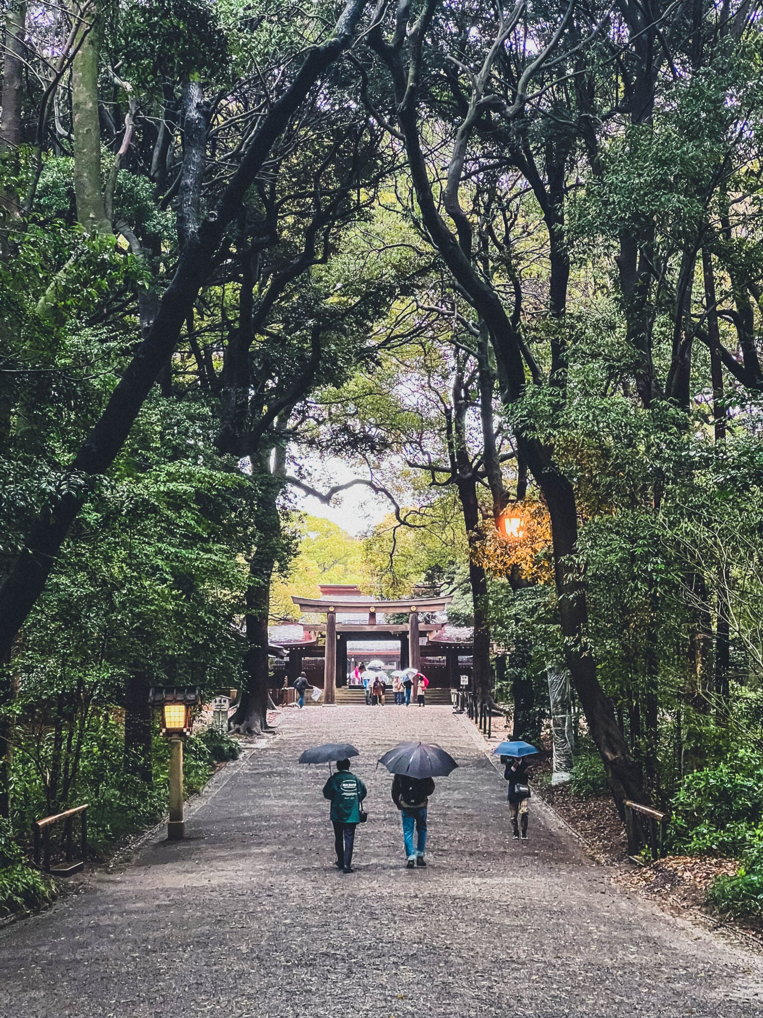 Meiji Jingu Tokyo: A Visit to the Largest Shrine in Tokyo | solosophie