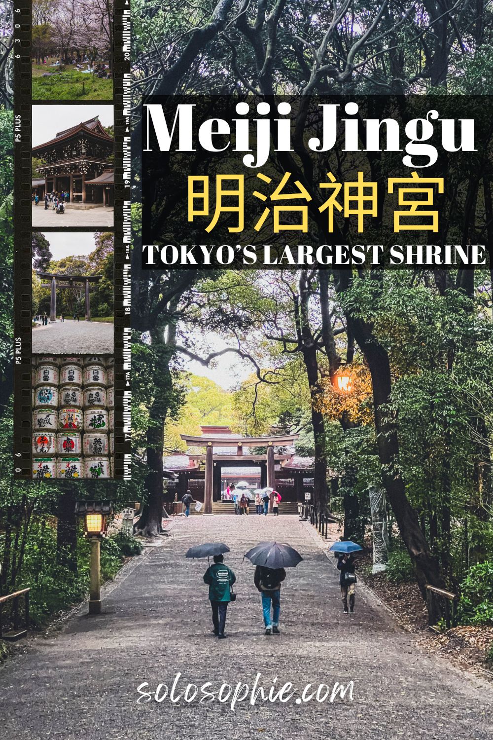 Meiji Jingu Tokyo: A Visit to the Largest Shrine in Tokyo | solosophie