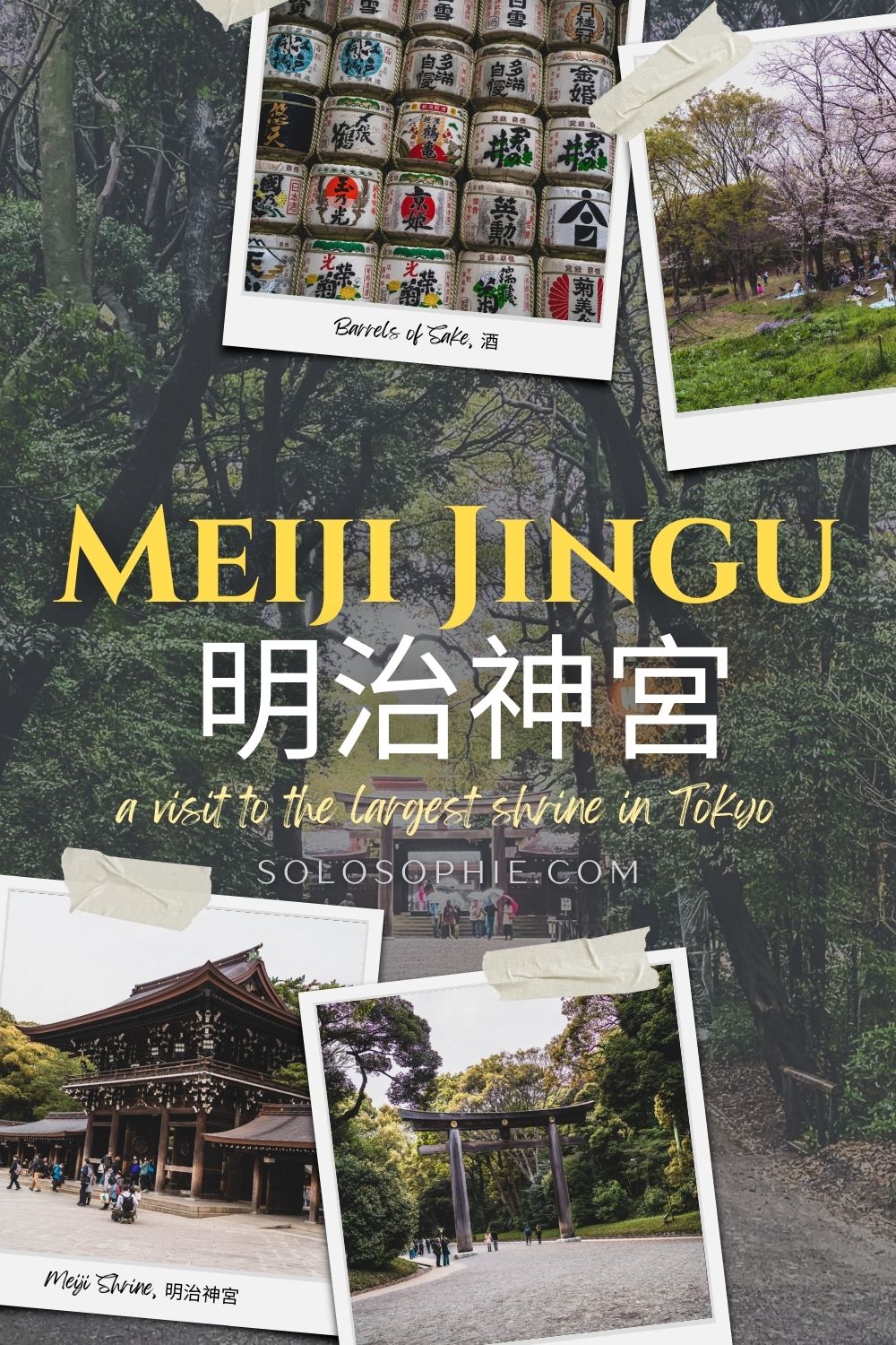 Meiji Jingu Tokyo: A Visit to the Largest Shrine in Tokyo | solosophie