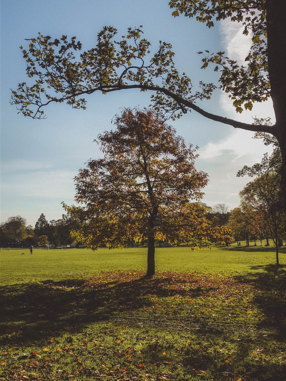 What's On? Your Go-to Guide for Edinburgh in October 2025 | solosophie