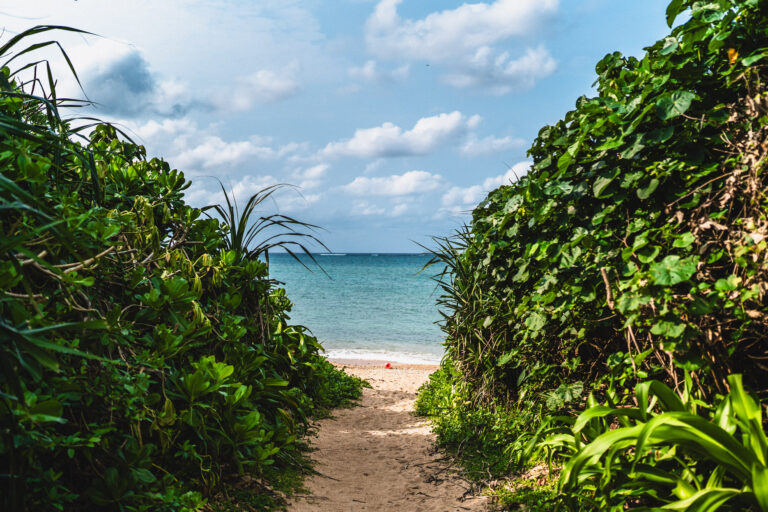 How to Spend 2 Days in Ishigaki, a Paradise Island in Japan