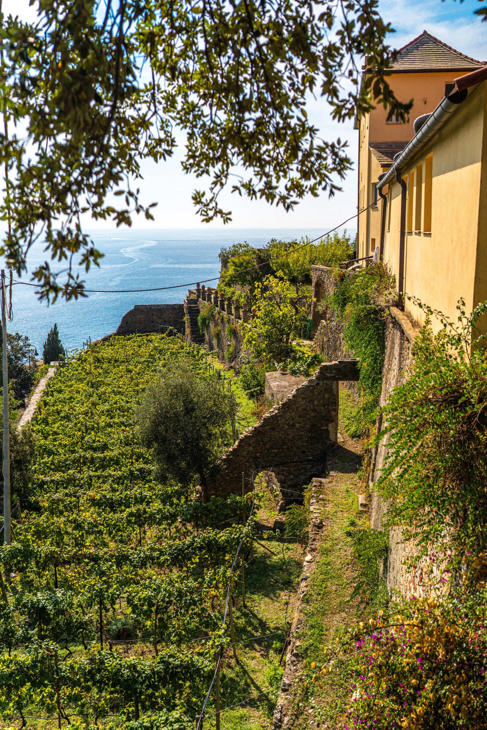 A Guide to the Best Things to do in Monterosso al Mare | solosophie
