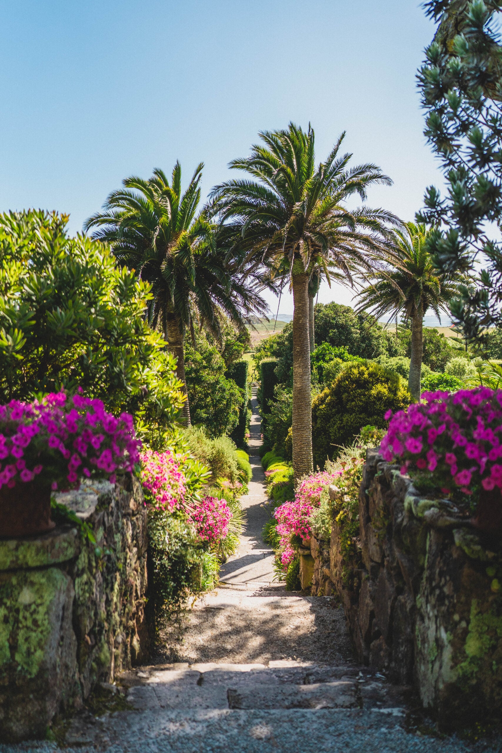Best Things To Do in Tresco: The Isles of Scilly | solosophie