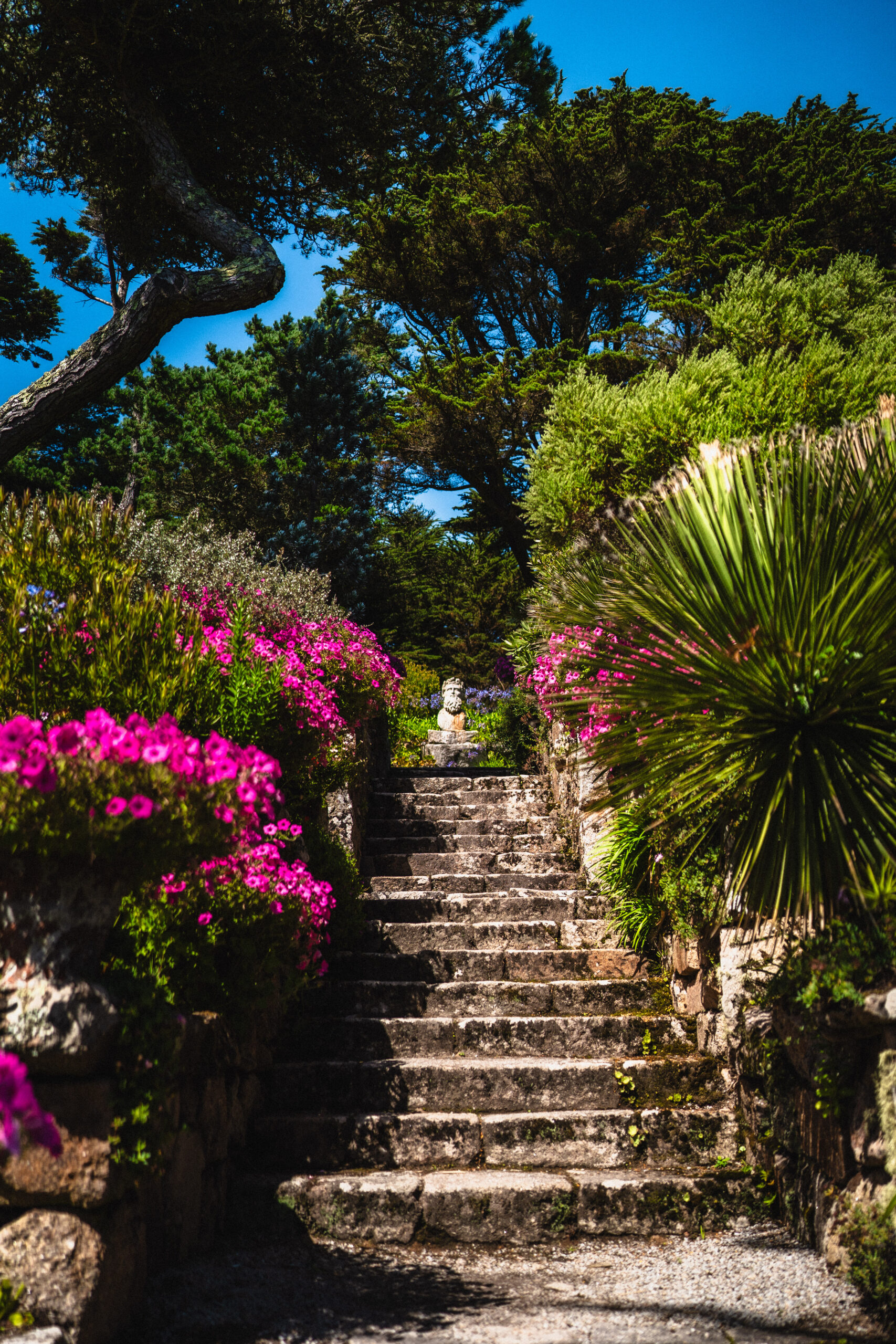 Best Things To Do in Tresco: The Isles of Scilly | solosophie