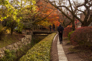 Kyoto Fall (2026) Travel Guide: Best Spots for Autumn Foliage | solosophie