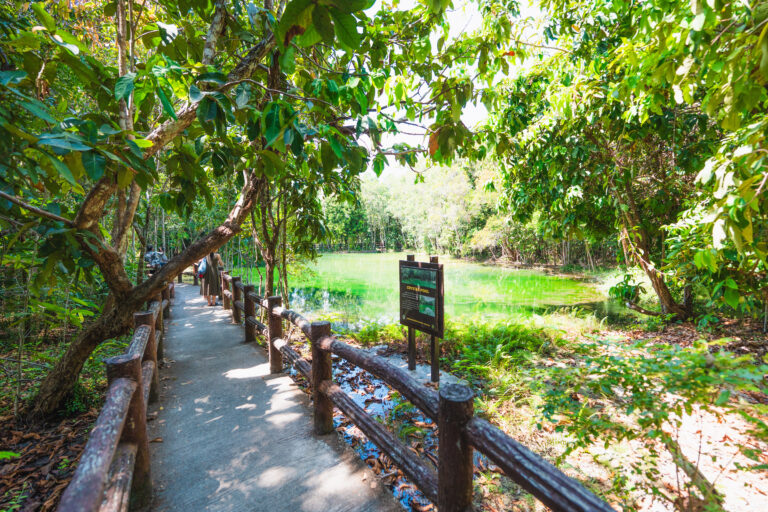 How to Visit Emerald Pool Krabi: Complete Guide + Insider Tips | solosophie